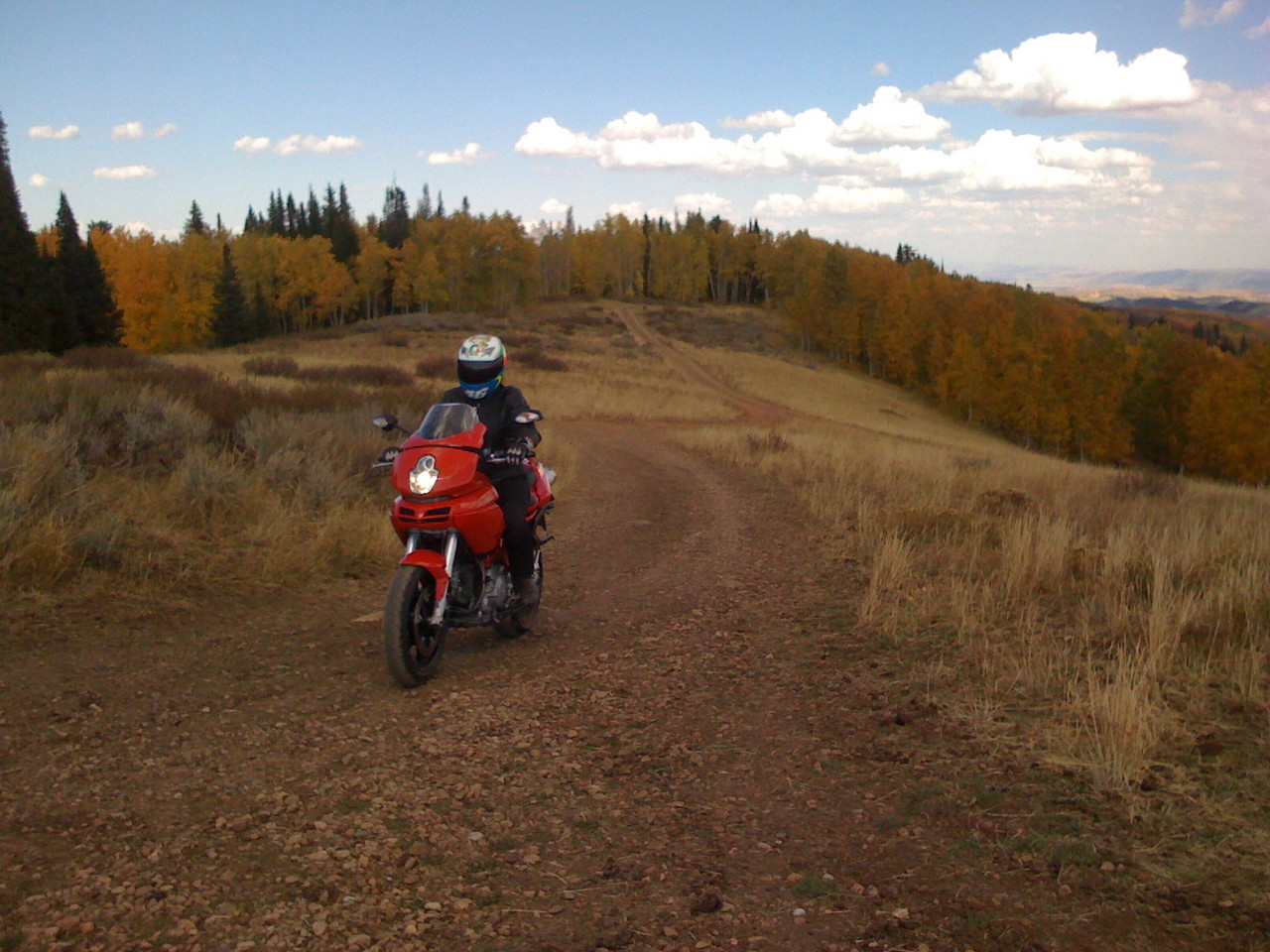 Dunlop D616 vs Pirelli Sync Motorcycle Tire Comparison - CanyonChasers